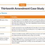 Thirteenth Amendment Case Study Essay | Abolition of Slavery ...