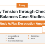 Checks and Balances Case Study Essays | Three Branches of Government ...