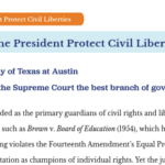 Congress and the President Protect Civil Liberties Essay | Bill of ...