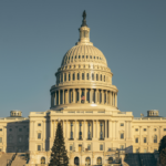 The Constitutional System of Government | Three Branches of Government ...