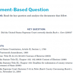 Handout C: Document Based Question (Bush v. Gore, 2000) | National ...