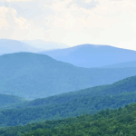 George Washington and the Whiskey Rebellion | Middle School Social ...